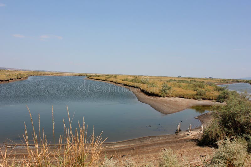 Delta Evros National Park, Evros Greece Stock Photo - Image of hidden ...