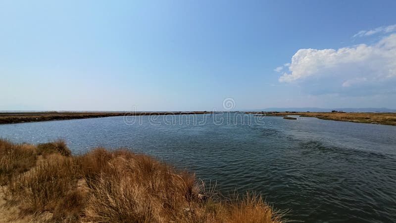Delta Evros National Park, Evros Thraki Stock Image - Image of ...