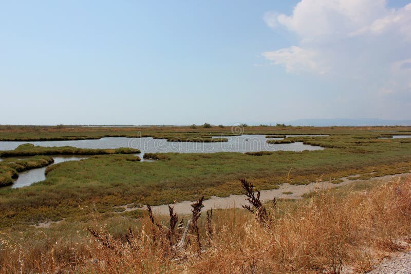Delta Evros National Park, Evros Thraki Stock Photo - Image of xanthi ...
