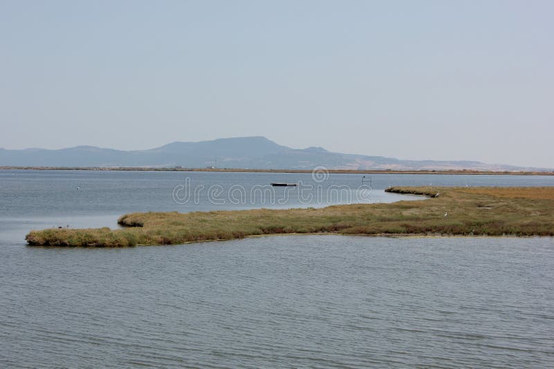 Delta Evros National Park, Evros Thraki Stock Image - Image of ...