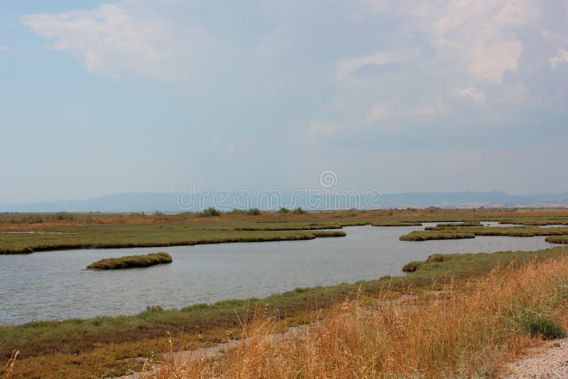 Delta Evros National Park, Evros Thraki Stock Photo - Image of calm ...
