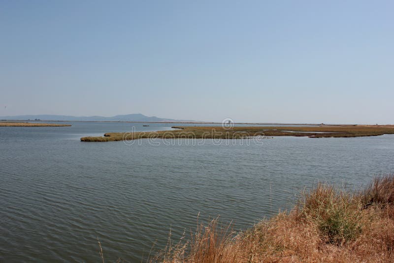 Delta Evros National Park, Evros Thraki Stock Image - Image of delta ...