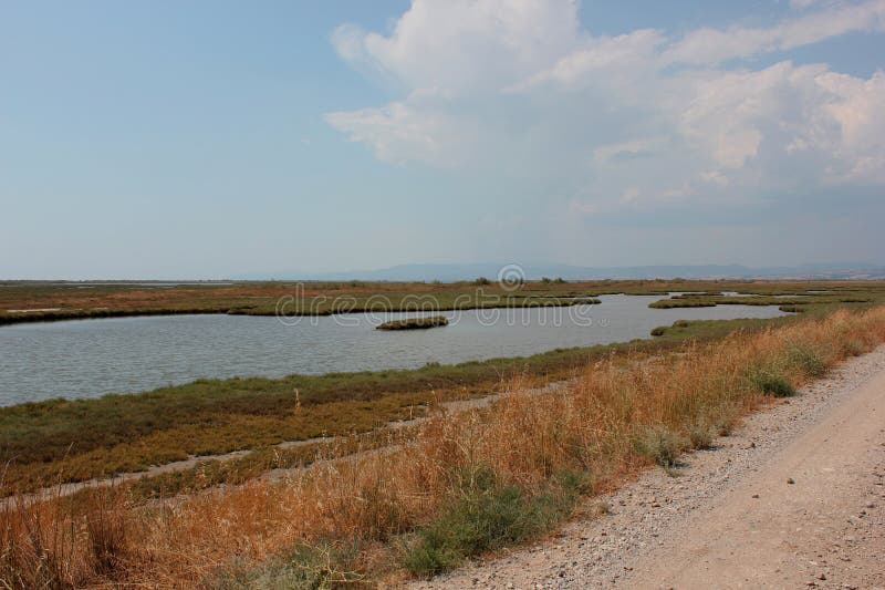 Delta Evros National Park, Evros Thraki Stock Image - Image of kavala ...