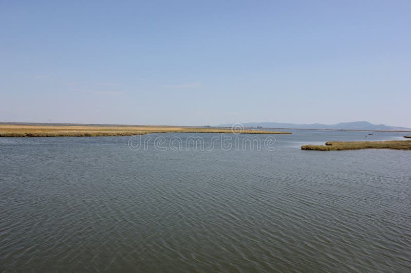 Delta Evros National Park, Evros Thraki Stock Image - Image of national ...