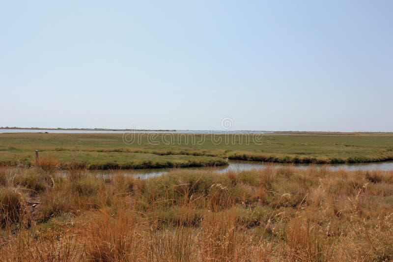 Delta Evros National Park, Evros Thraki Stock Image - Image of global ...