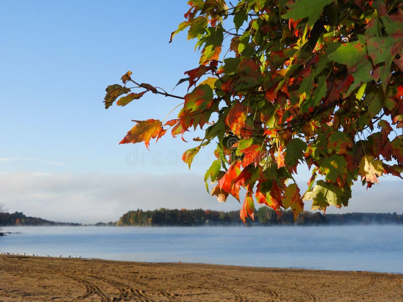 Delta Lake State Park Autumn Adk Tree Colors Stock Photo - Image of ...