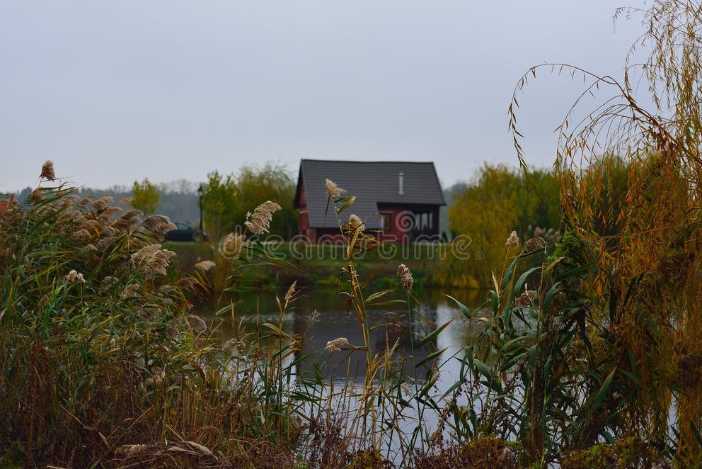 Delta Neaslov, Comana, Romania Stock Photo - Image of cloudy, home ...