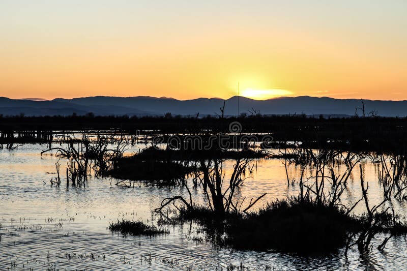 Delta river by the sunset stock image. Image of evening - 272120057