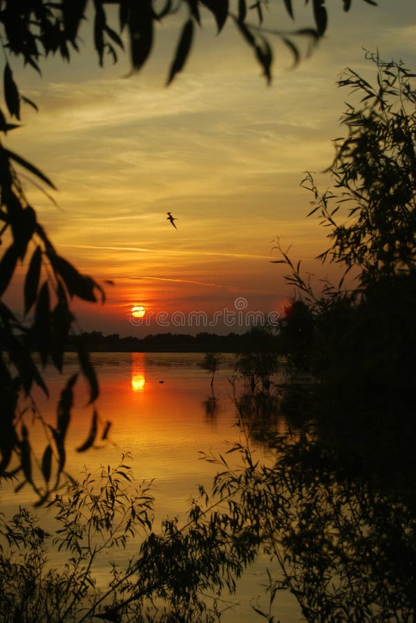 Lake Sunset stock photo. Image of life, scene, relaxation - 15245274