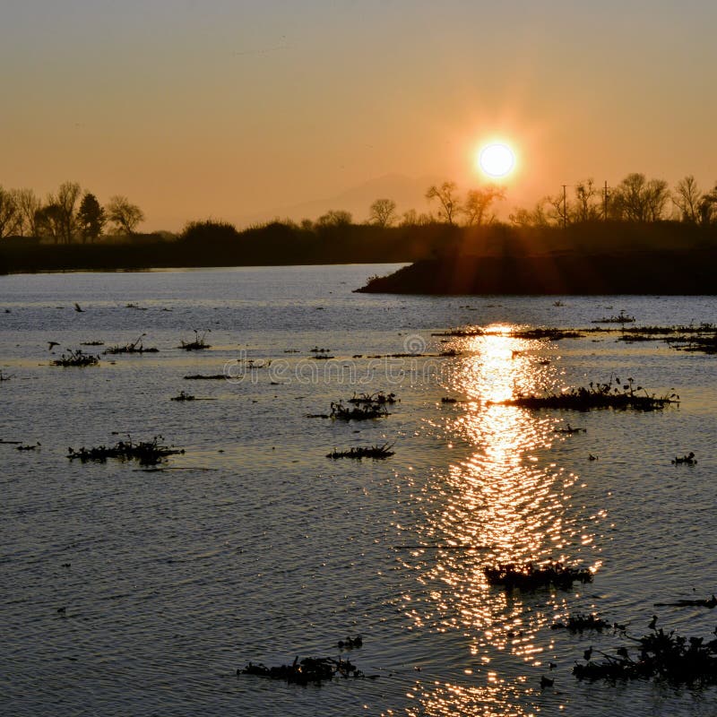 Delta Sunset stock image. Image of sunset, delta, islands - 51517611