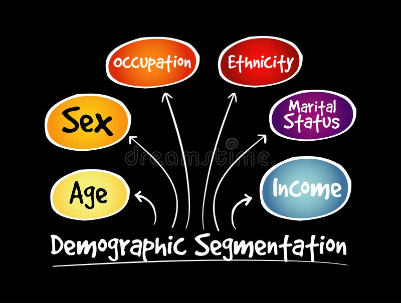 Demographic Segmentation Mind Map Flowchart Stock Illustration ...