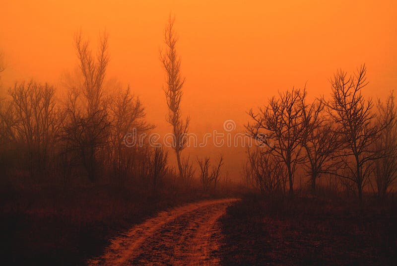 Demonic path stock photo. Image of abstract, burned, danger - 65474200