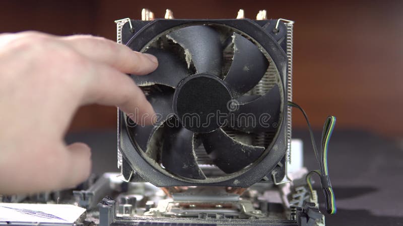 Demonstration of Dust Pollution. Dirty Cooler and CPU Heatsink from ...