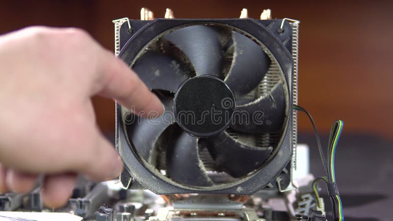 Demonstration of Dust Pollution. Dirty Cooler and CPU Heatsink from ...