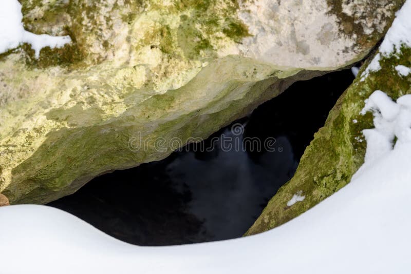 Den Bear in the Woods Under a Large Rock in Winter Stock Image - Image ...