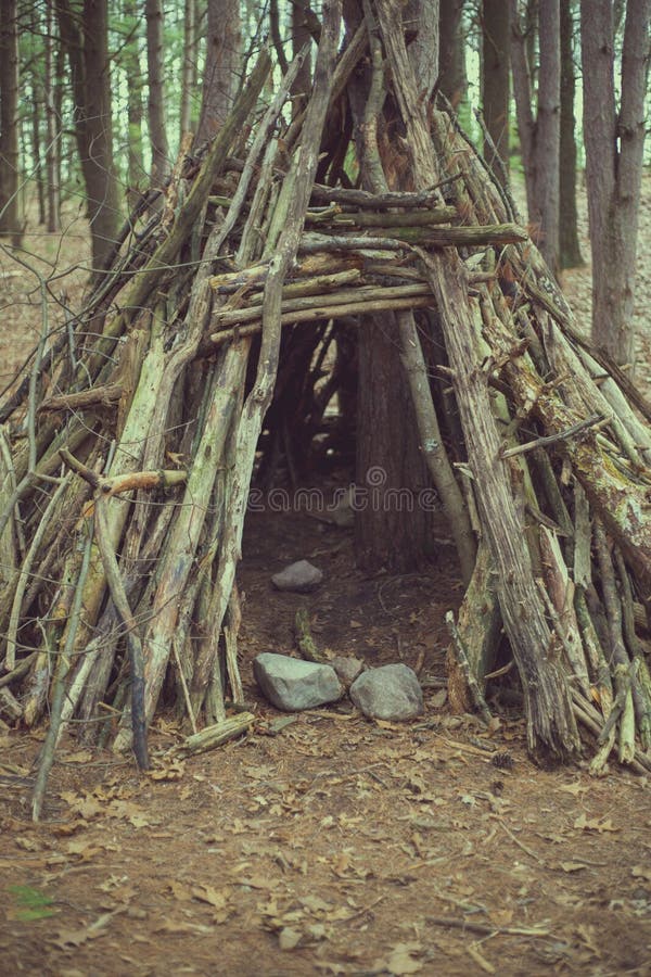 Den of branches stock photo. Image of design, forest - 111530240