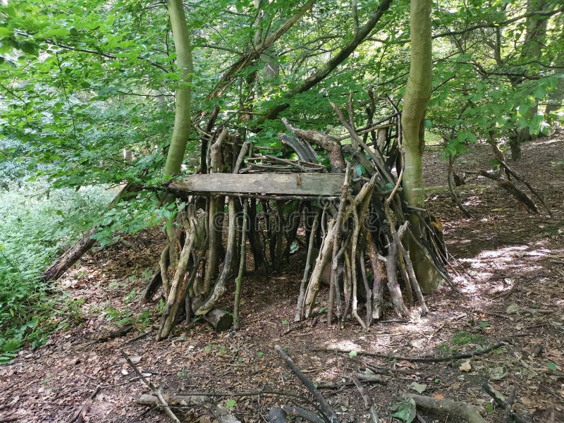 Den building forest stock photo. Image of nature, plant - 232487192