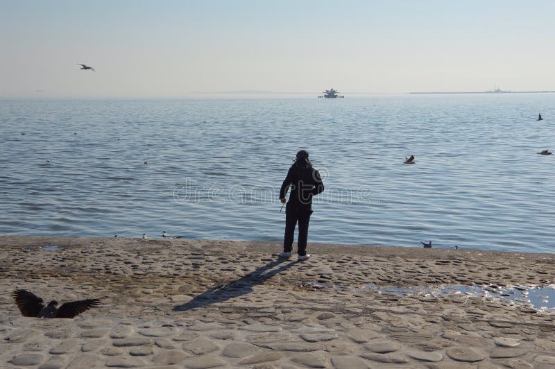 Ensam Person På Stranden En Solnydag I Cascais, Portugal Redaktionell ...