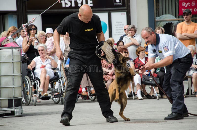 Den policie Brno editorial photo. Image of muscle, event - 25631981