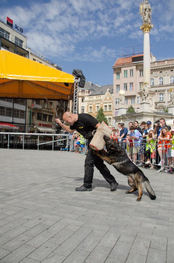Den policie Brno editorial stock photo. Image of svobody - 25632278