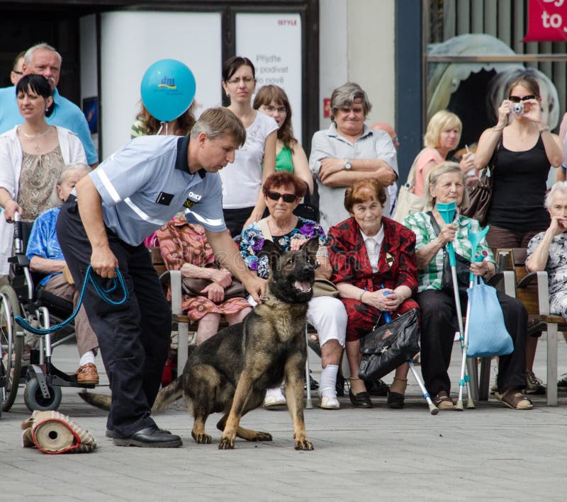 Den policie Brno editorial stock image. Image of road - 25632364