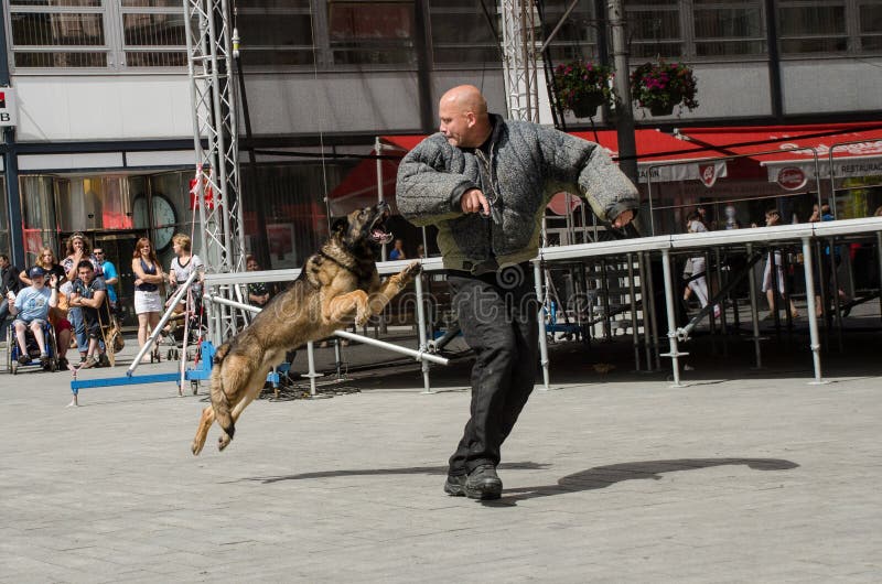 Den policie Brno editorial photography. Image of mastashy - 25632517