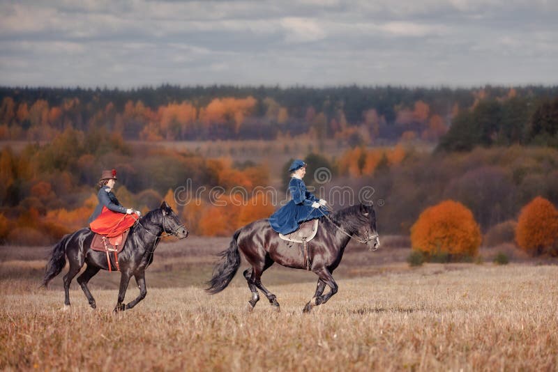Den svarta hingsten redaktionell arkivbild. Bild av bakgrund - 47851307
