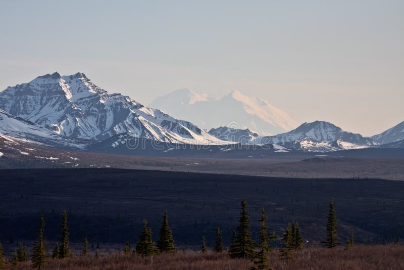 Denali stock photo. Image of regions, mckinley, travel - 22578998