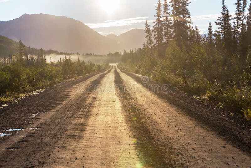Denali highway stock image. Image of forest, inspiring - 267026081