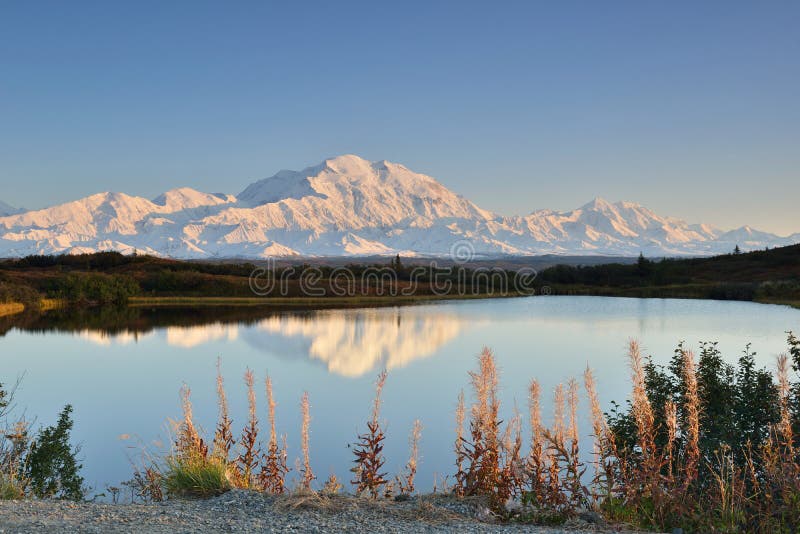 Denali Mountain and Reflection Pond Stock Image - Image of denali ...