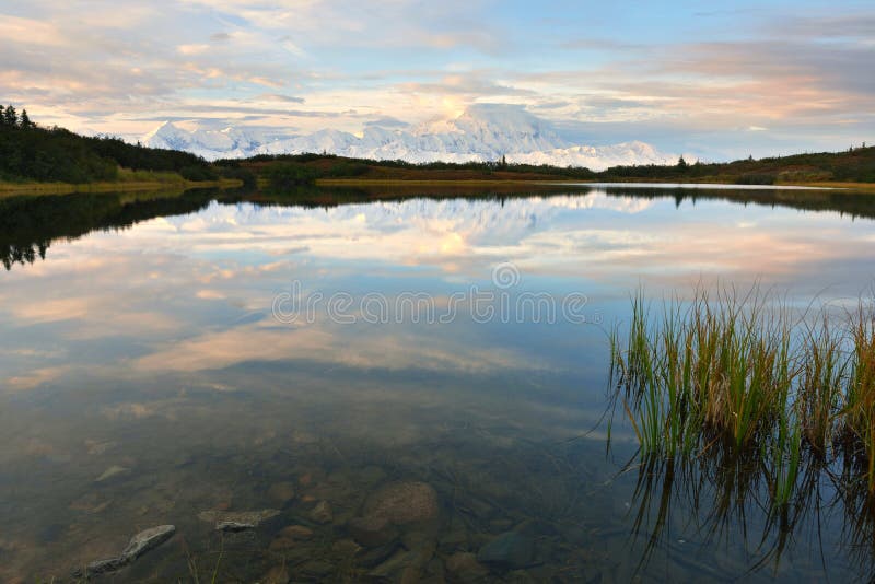 Denali Mountain and Reflection Pond Stock Photo - Image of mountain ...