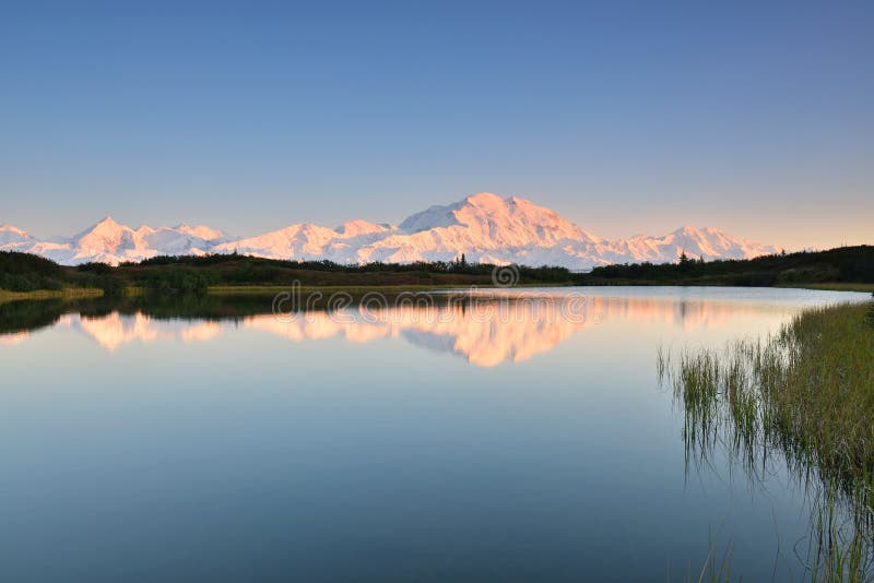 Denali Mountain and Reflection Pond Stock Photo - Image of pond ...