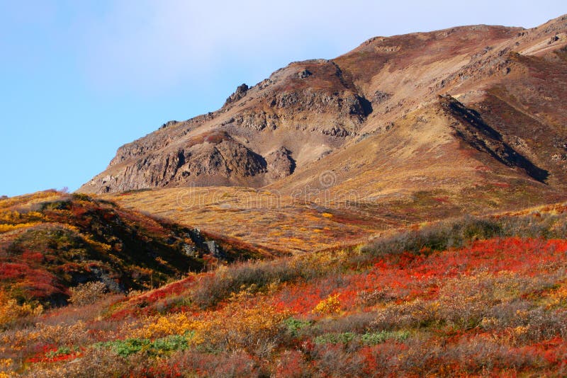 Denali National Park in Fall Colors Stock Image - Image of autumn ...