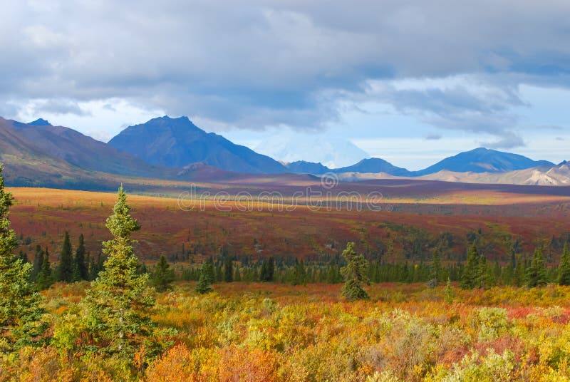 Denali National Park Landscape Stock Photo - Image of alaska, autumnal ...