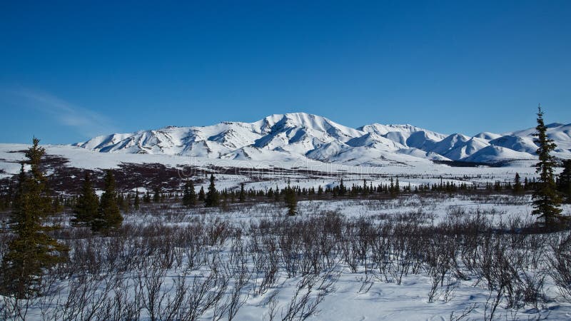 Denali Landscape stock photo. Image of alaska, summer - 31589806
