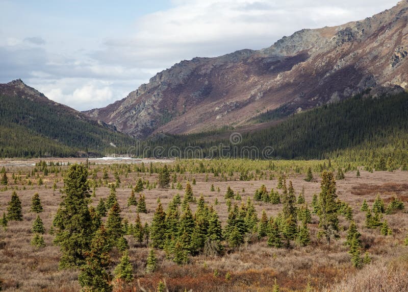 Denali National Park Landscape Stock Image - Image of park, interior ...