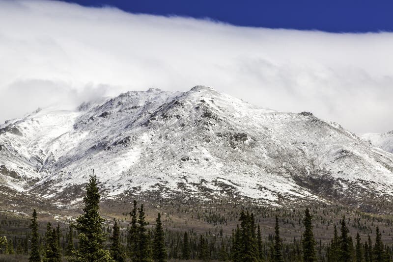 Denali National Park Landscape Stock Image - Image of landscape ...