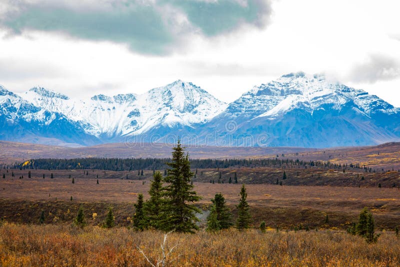 Denali National Park Mountains View from Alpine Trail at Fall Stock ...