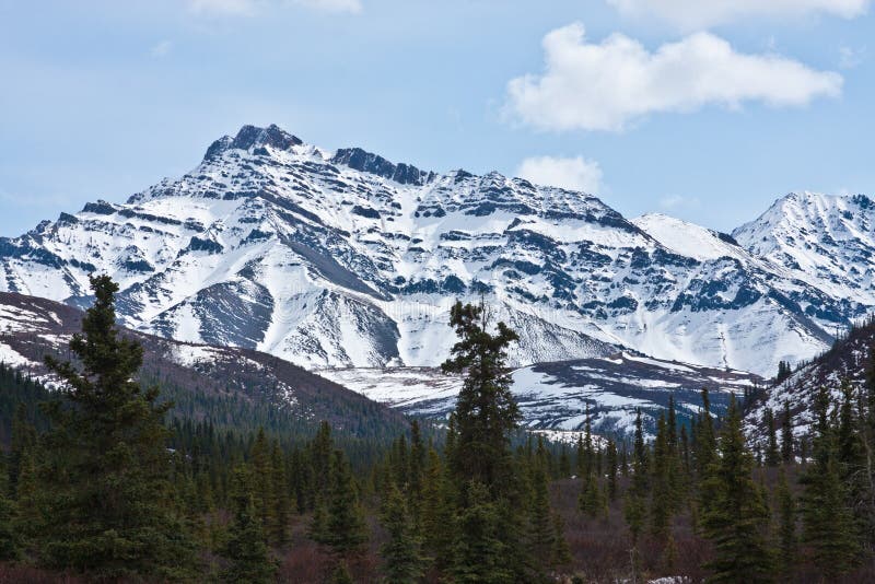Braided River in Autumn, Denali National Park, Teklanika River ...