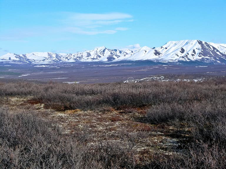 Denali National Park in Spring Stock Photo - Image of spring, north ...