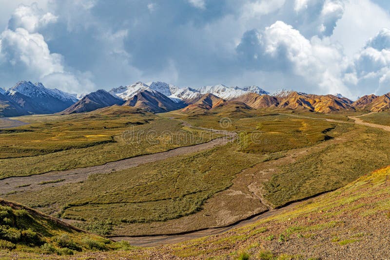 Denali Park Alaska Panorama Stock Photo - Image of landscape, transport ...