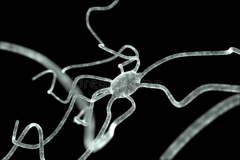 Dendrite stock illustration. Illustration of neuron, germ - 10477859