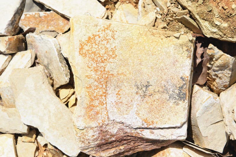 Dendrite Minerals on Limestone Rocks of Solnhofen Stock Image - Image ...