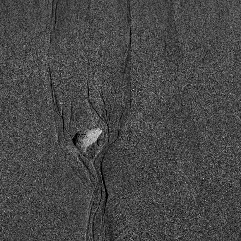 Dendrite Patterns Made by Water Flowing Around a Rock on a Beach Stock ...