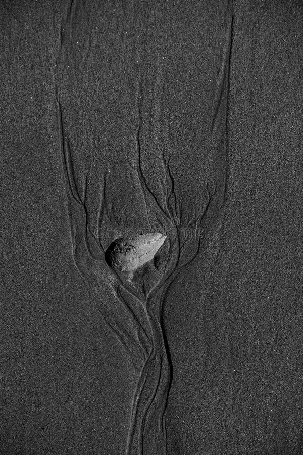 Dendrite Patterns Made by Water Flowing Around a Rock on the Beach ...