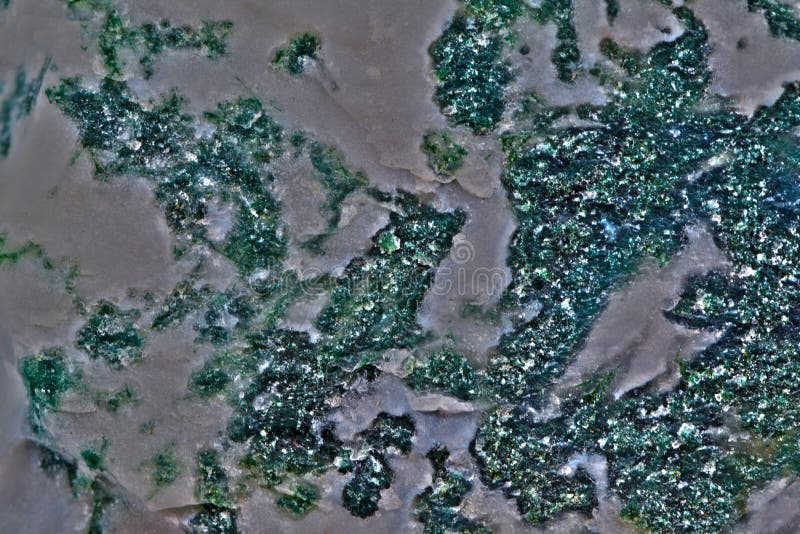 Dendrite / Tree Agate HDR Closeup Stock Photo - Image of tree, dendrite ...
