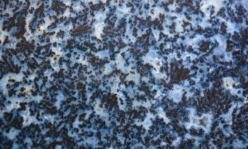 Dendritic Agate Macro Photograph Details. Stock Image - Image of ...
