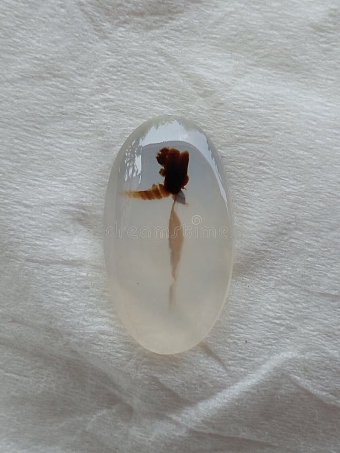 Dendritic Agate Stone - Black Rose Stock Photo - Image of pink, wing ...