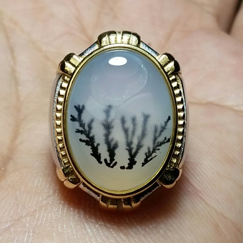 Dendritic Agate Stone stock photo. Image of ring, bead - 259929874