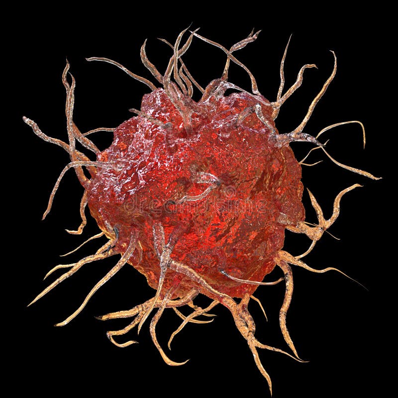 Antigen Presenting Cells Microscope